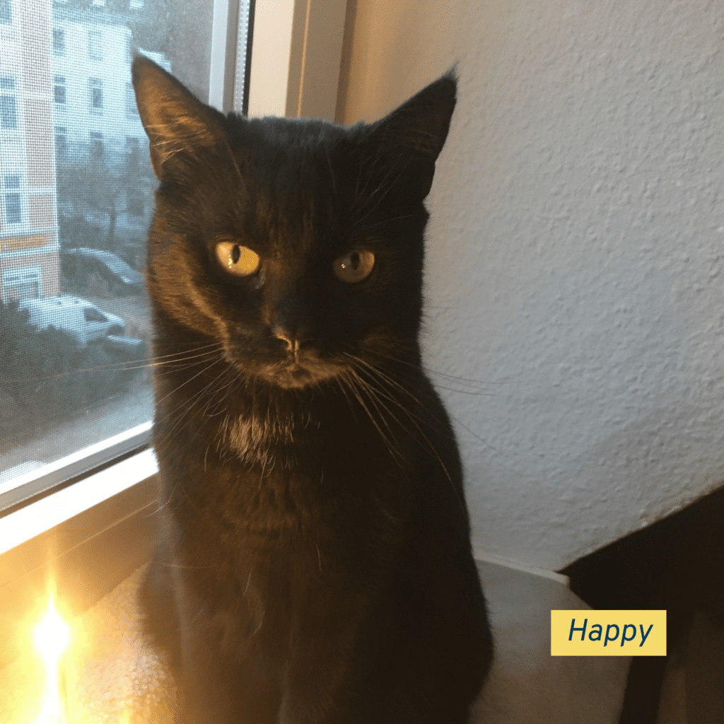 Recruiting- & Onboarding-Software: Wir sind eure Experten | d.vinci